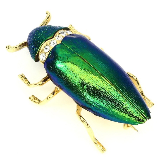 Jewelry | New 51ct Green Beetle Ss 925 Crystal Brooch Pin | Poshmark